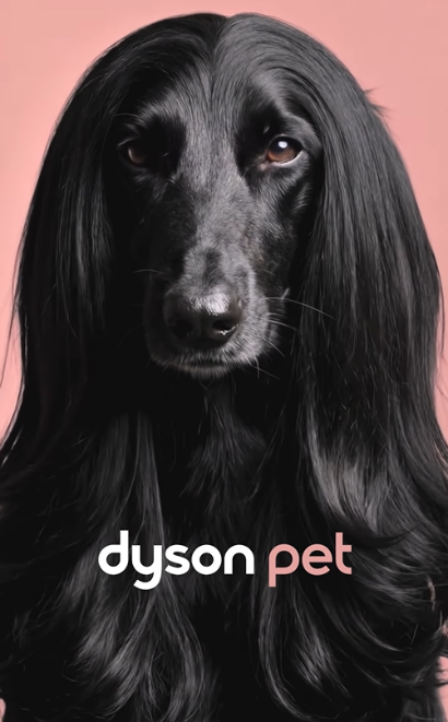 Dyson Unveils Pet Range in April Fools